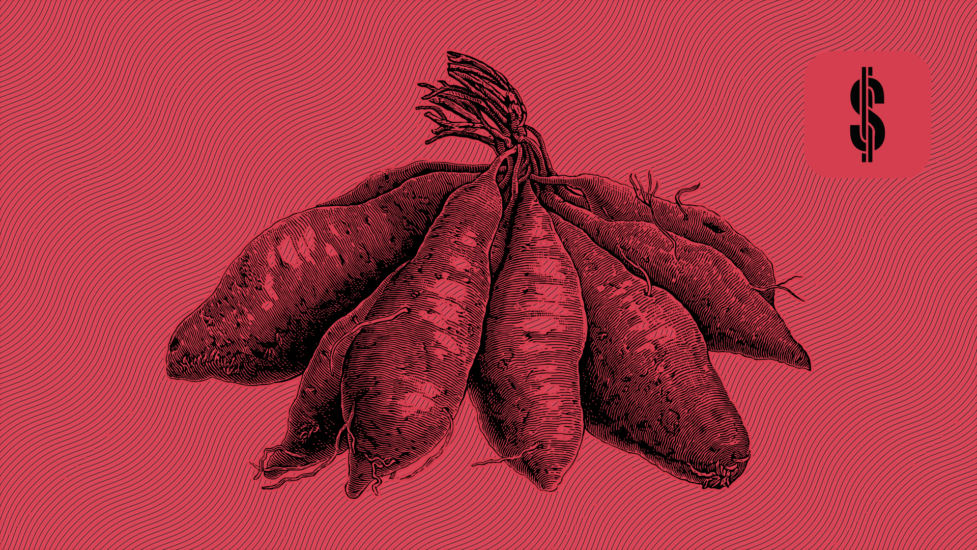 MONCERA: Quick Overview & Review | Savings for Freedom